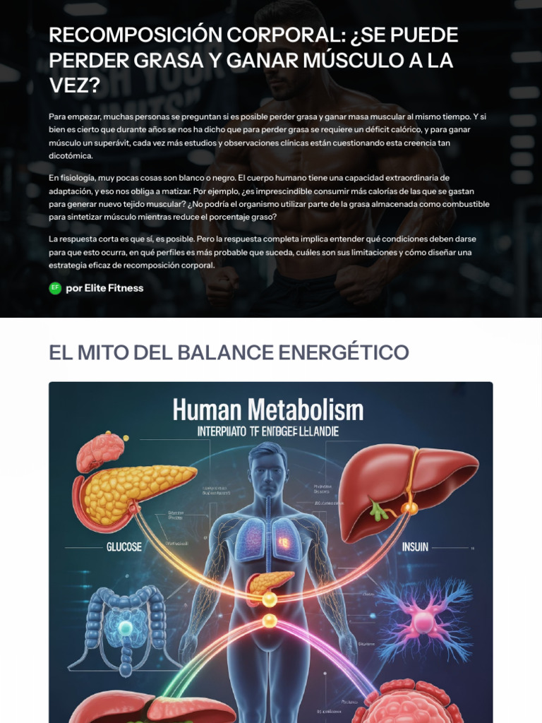 Recomposicion Corporal Se Puede Perder Grasa y Ganar Musculo A La Vez | PDF | Dieta | Proteínas