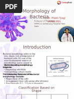 Understanding Skin Normal Flora | PDF | Staphylococcus | Streptococcus