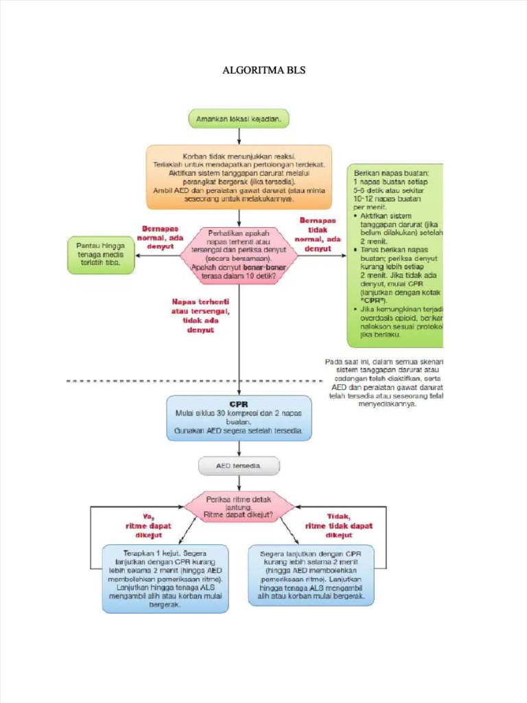 PDF Algoritma Acls Compress | PDF