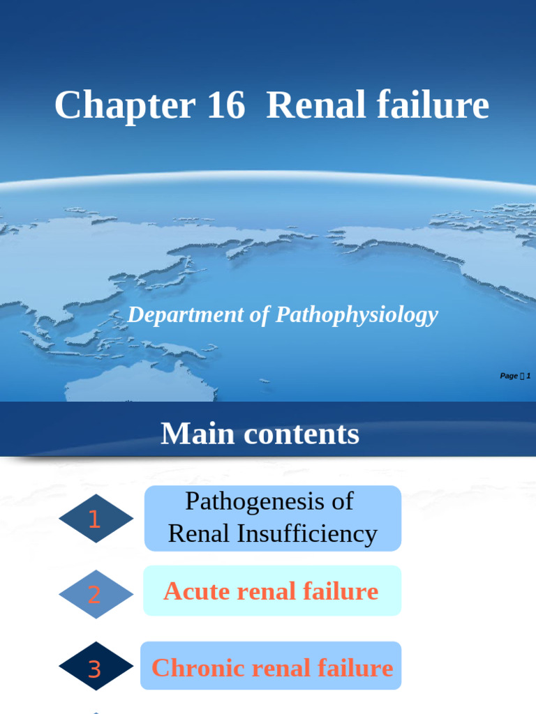 Understanding Renal Failure: Types & Causes | PDF | Kidney | Urinary System