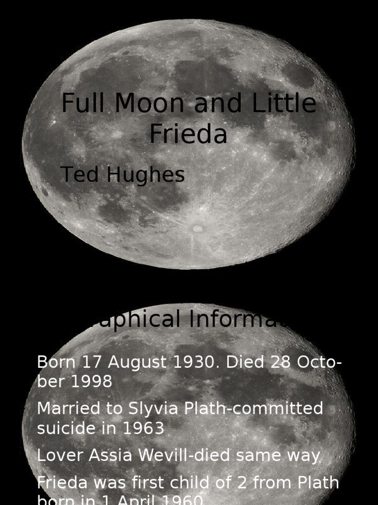 Full Moon and Little Frieda | PDF | Art | Poetry