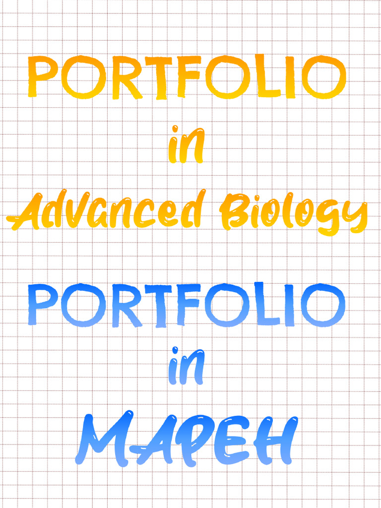 Portfolio Cutouts - 20250629 - 150338 - 0000 | PDF
