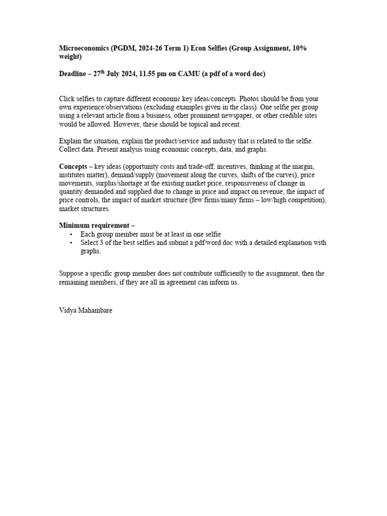 Econ Selfie Instructions | PDF