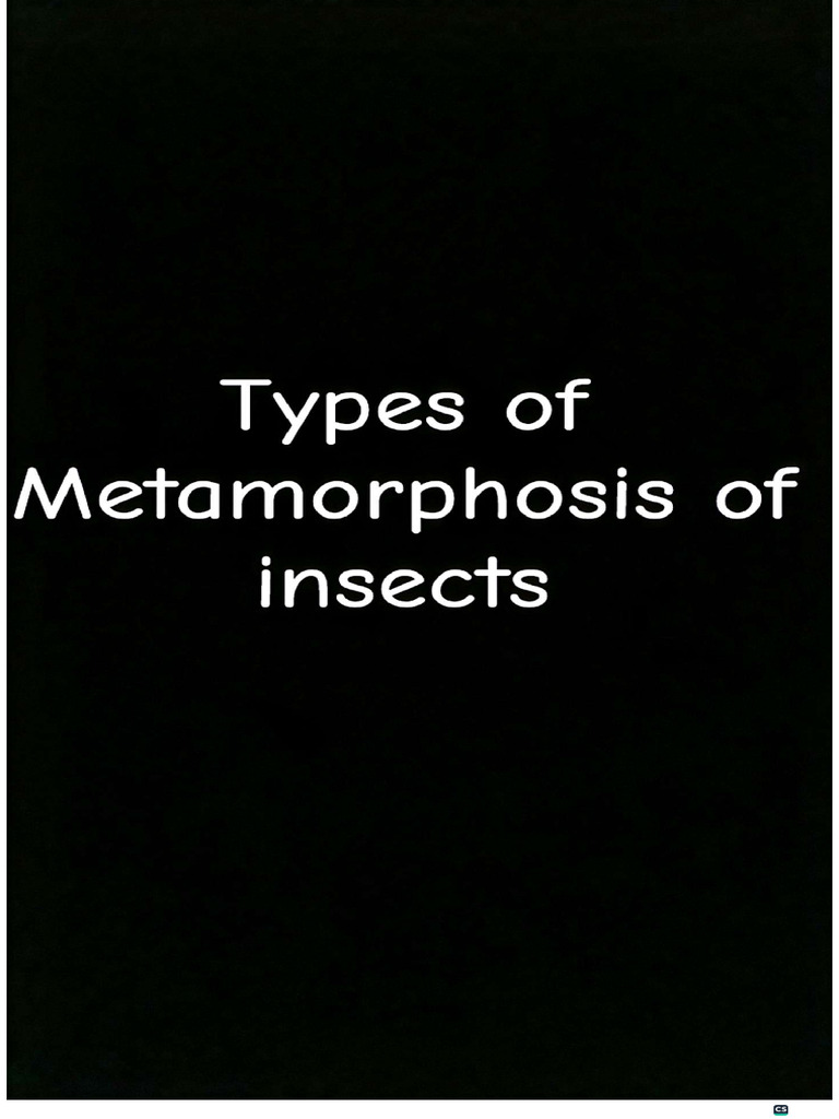 Types of Metamorphosis, Eggs and Larvae | PDF