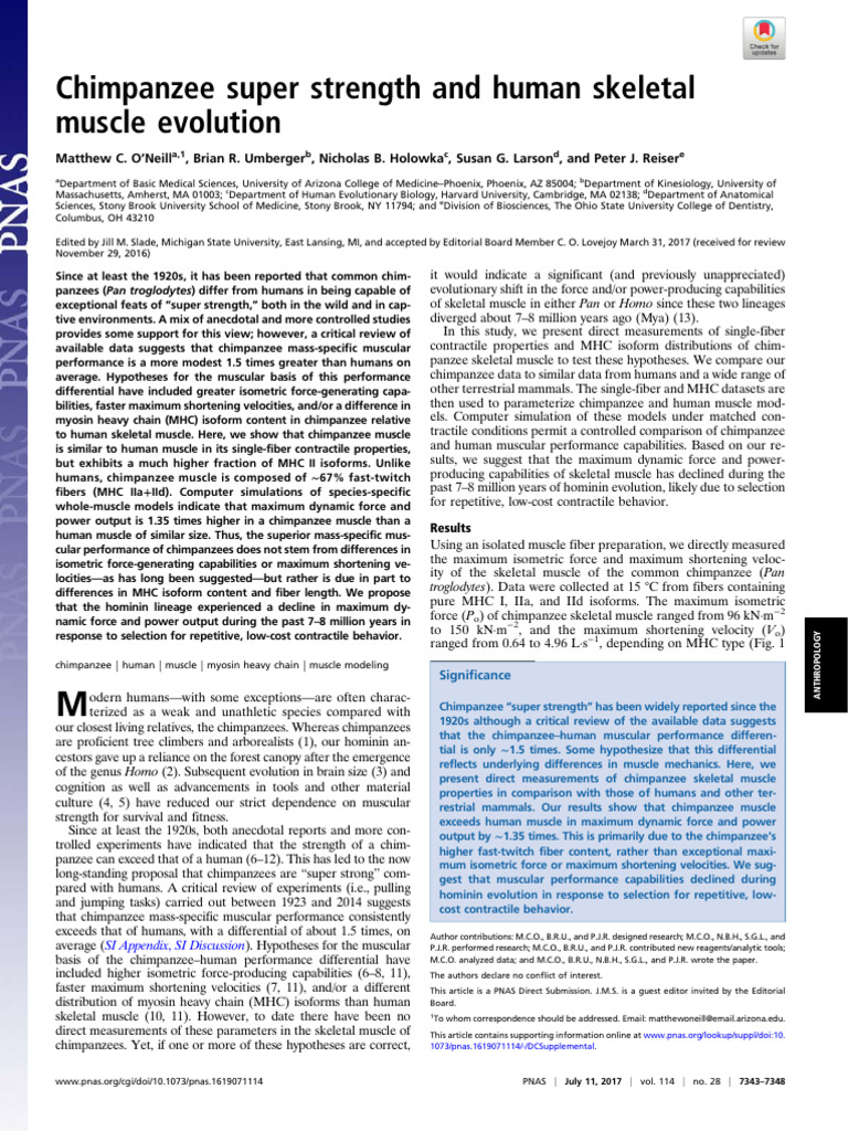 O Neill Et Al Chimpanzee Super Strength and Human Skeletal Muscle ...