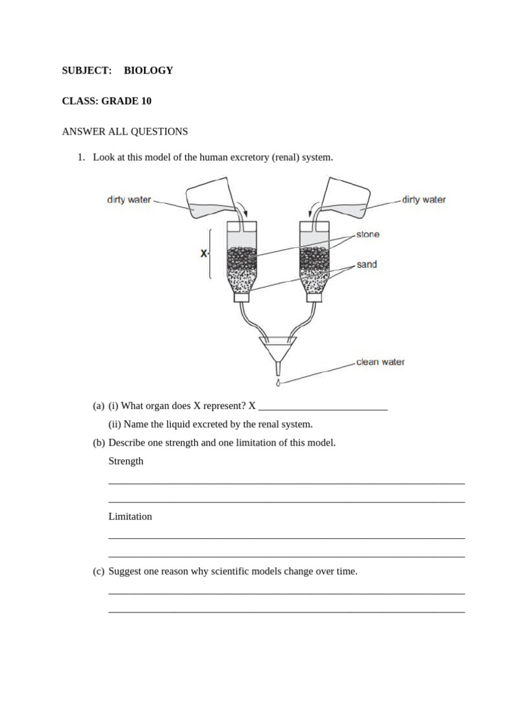 Biobele Biology Assessment | PDF | Kidney | Biology