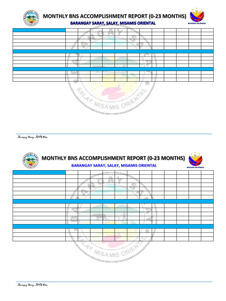Bns Accomplishment Report | PDF | Determinants Of Health | Obesity