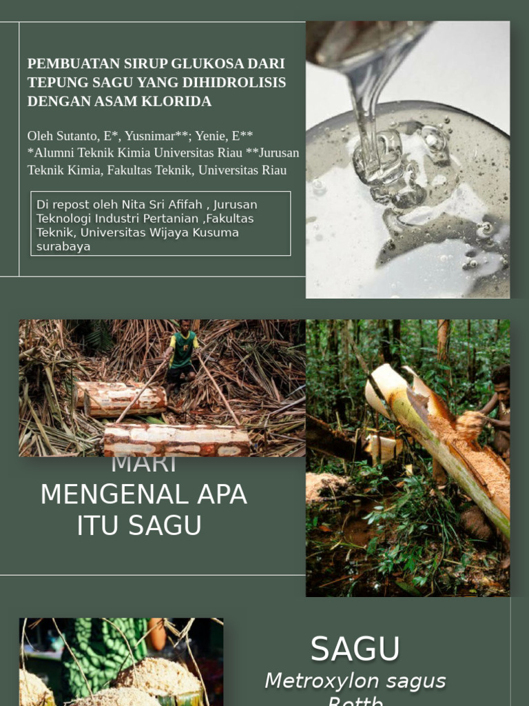 Hidrolisis Tepung Sagu | PDF