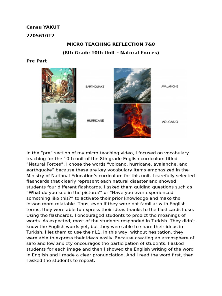 Micro Teaching Reflection Pdf Vocabulary English Language