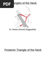 Posterior and Suboccipital Neck Triangles Notes | PDF | Neck | Vertebra