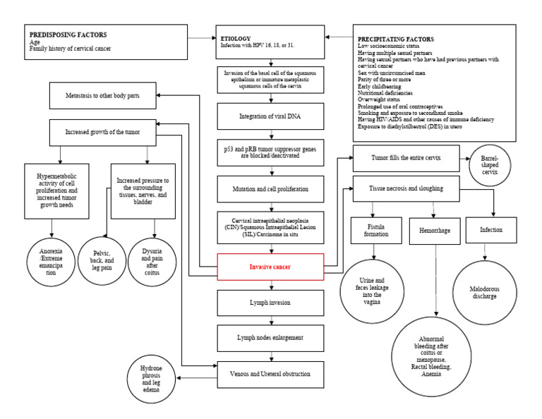 Cervical Cancer Pathophysiology | PDF | Cervical Cancer | Neoplasms