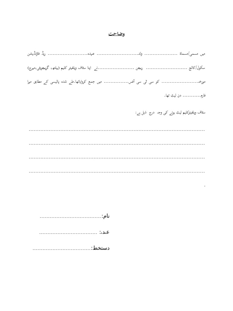 SWF Late Justification | PDF