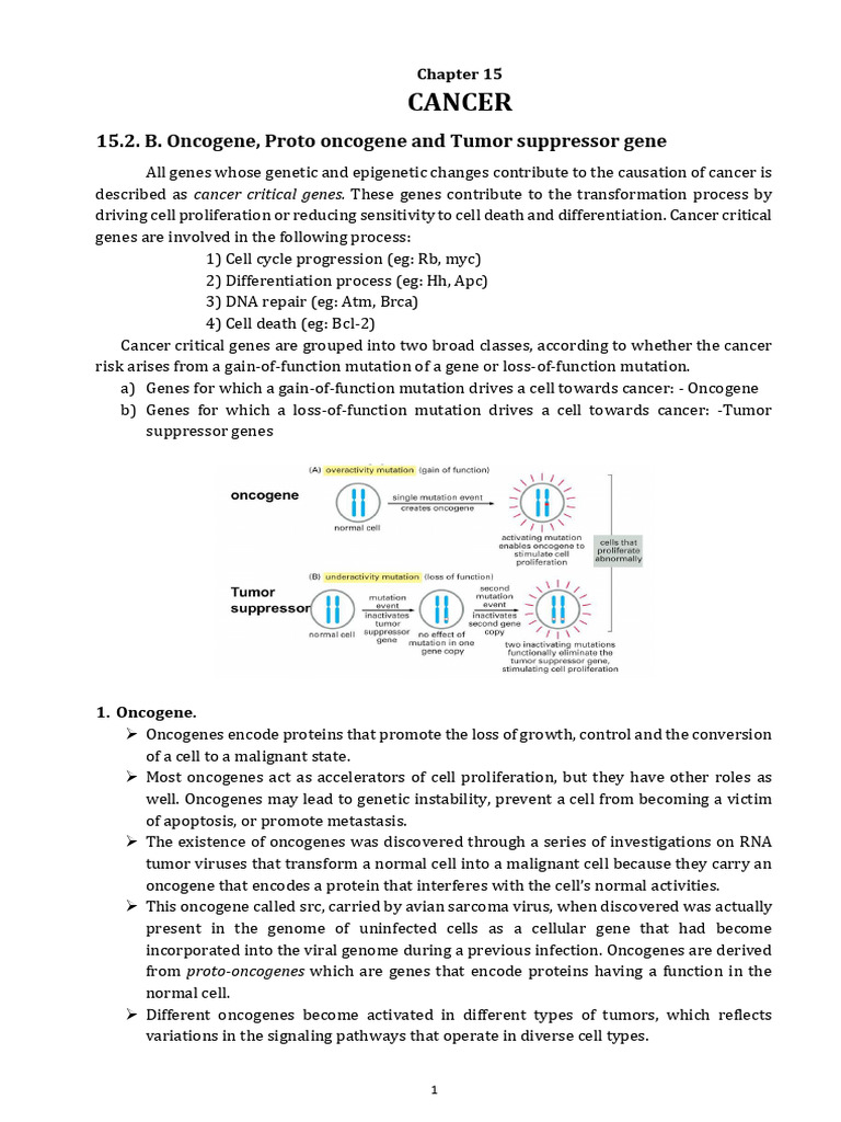 Oncogenes vs. Tumor Suppressor Genes | PDF | Oncogene | Tumor ...