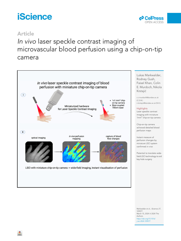 In Vivo Laser Speckle Contrast Imaging of Microvascular Blood Perfusion Using A Chip-On-Tip ...