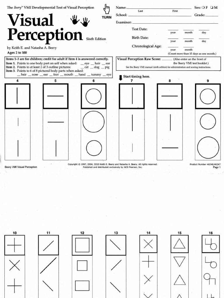 VMI - Percepción Visual | PDF