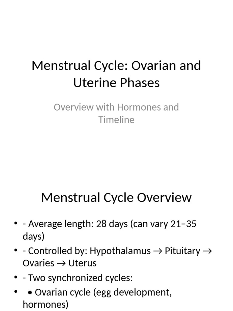 Menstrual Cycle Ovarian Uterine | PDF