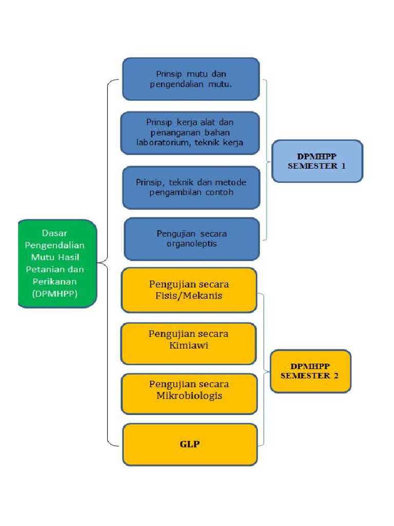 Peta Pembelajaran Mapel PMHP X Aphp 1,2 | PDF