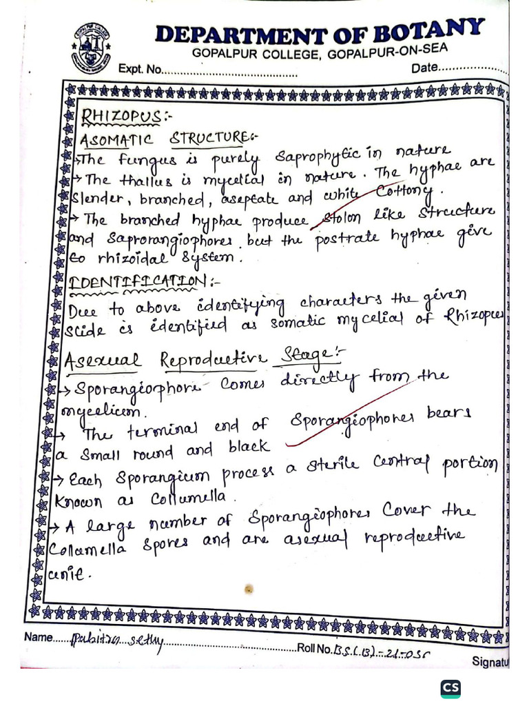 Sem 2 Botany Practical CC3 | PDF
