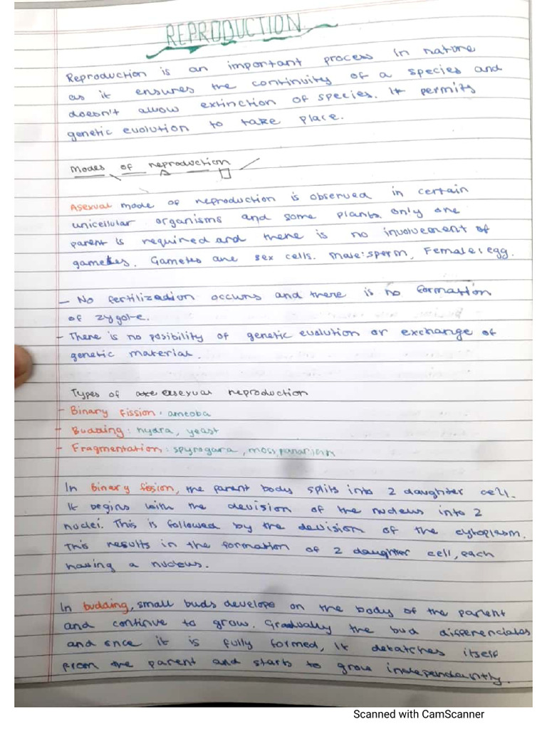 Bio Notes Reproductive System | PDF