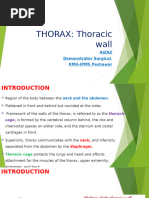 Costovertebral Angle Anatomy Overview | PDF | Vertebra | Vertebral Column