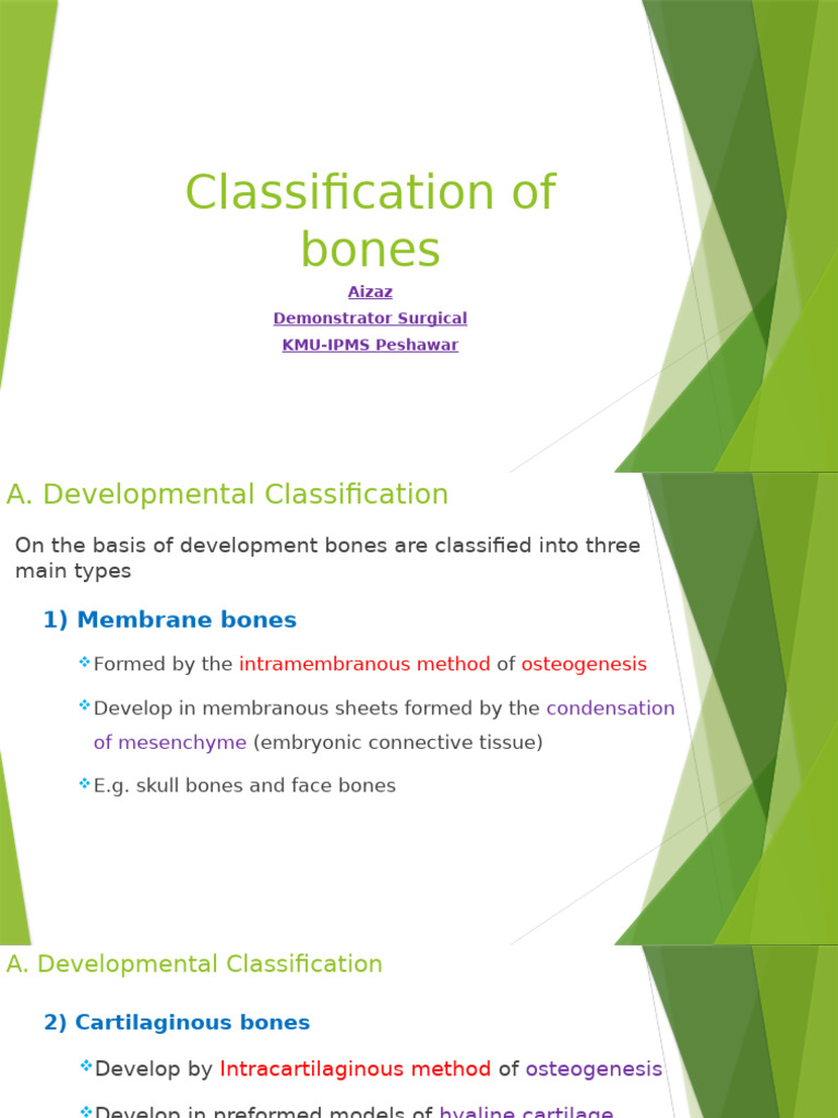 Anatomy Lec 4 (Classification of Bones) | PDF | Bone | Skull