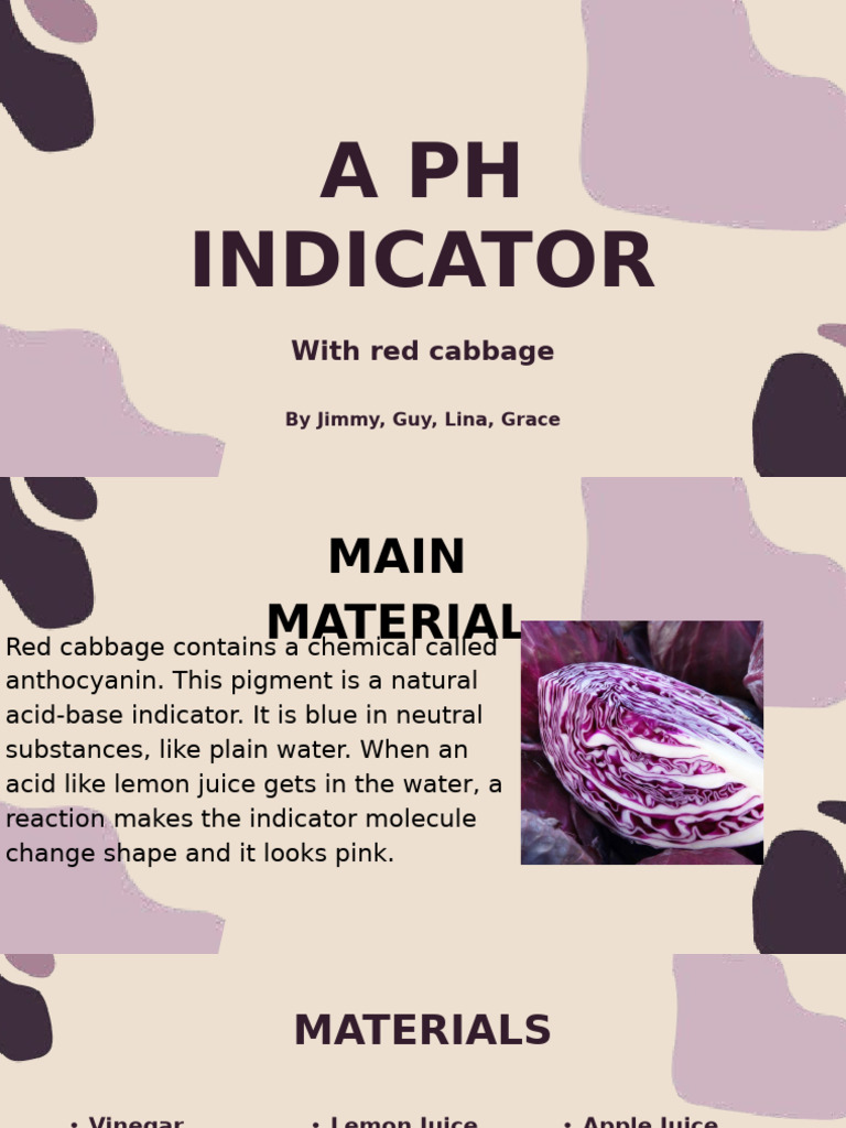 Red Cabbage pH Indicator Experiment | PDF | Ph | Acid