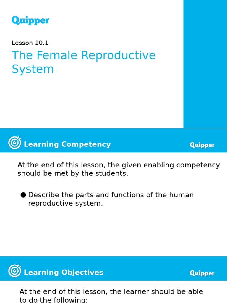 Female Reproductive System Grade 10 | PDF | Reproductive System | Uterus