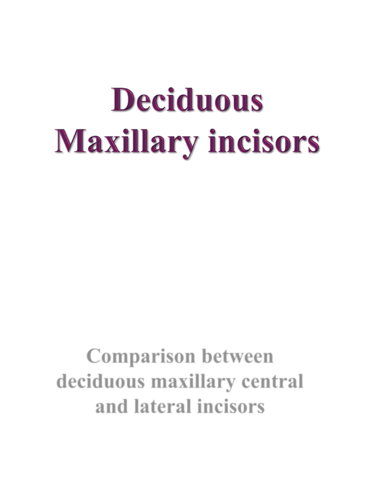Deciduous Tooth Morphology Comparison | PDF | Dental Anatomy | Tooth