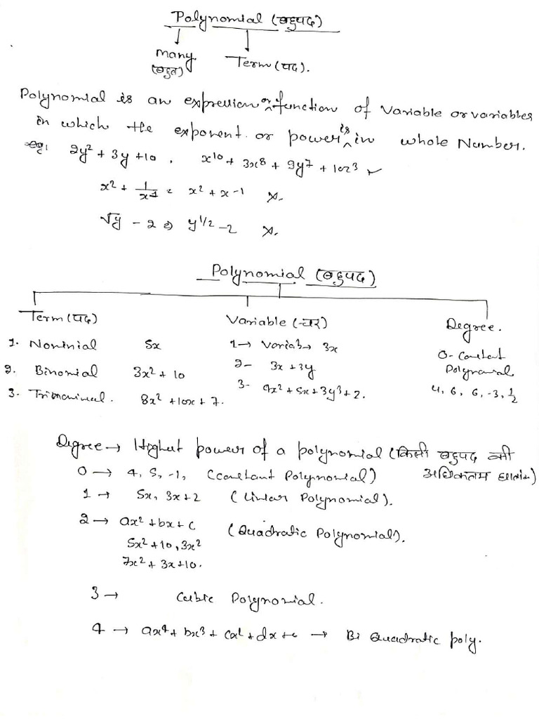 Polynomial Notes 05-05 | PDF