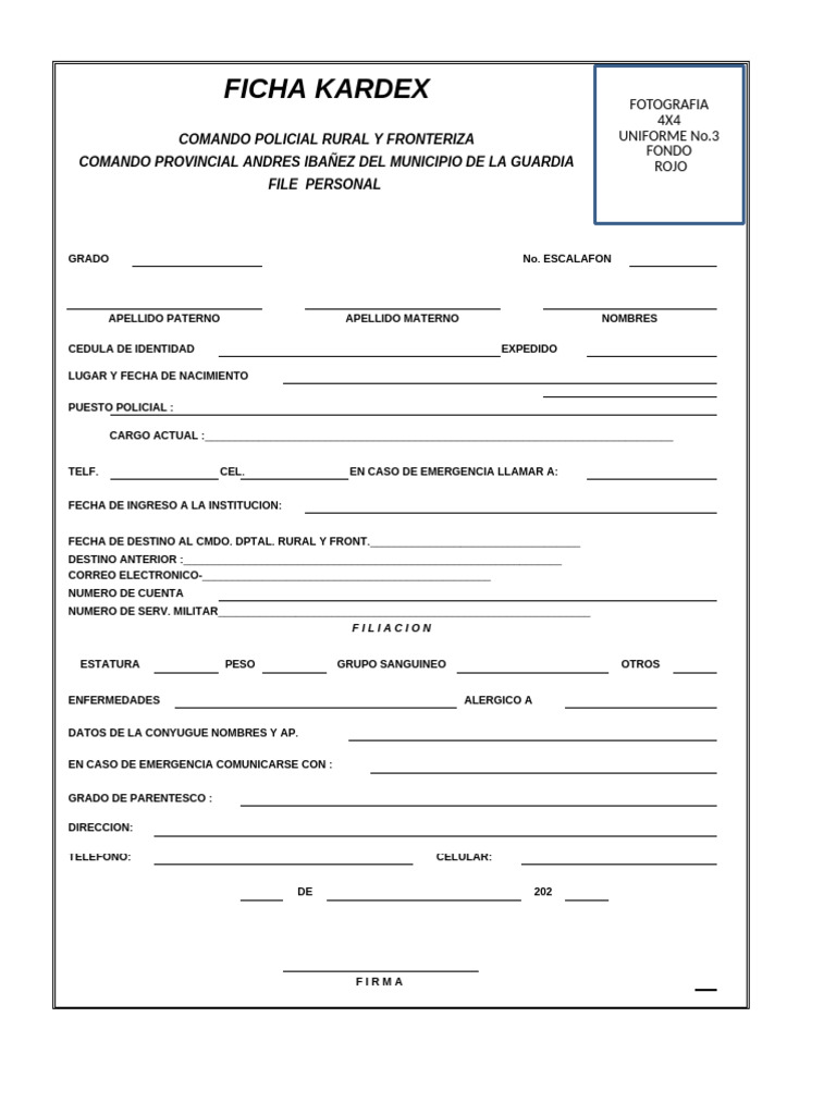 Ficha Kardex File | PDF