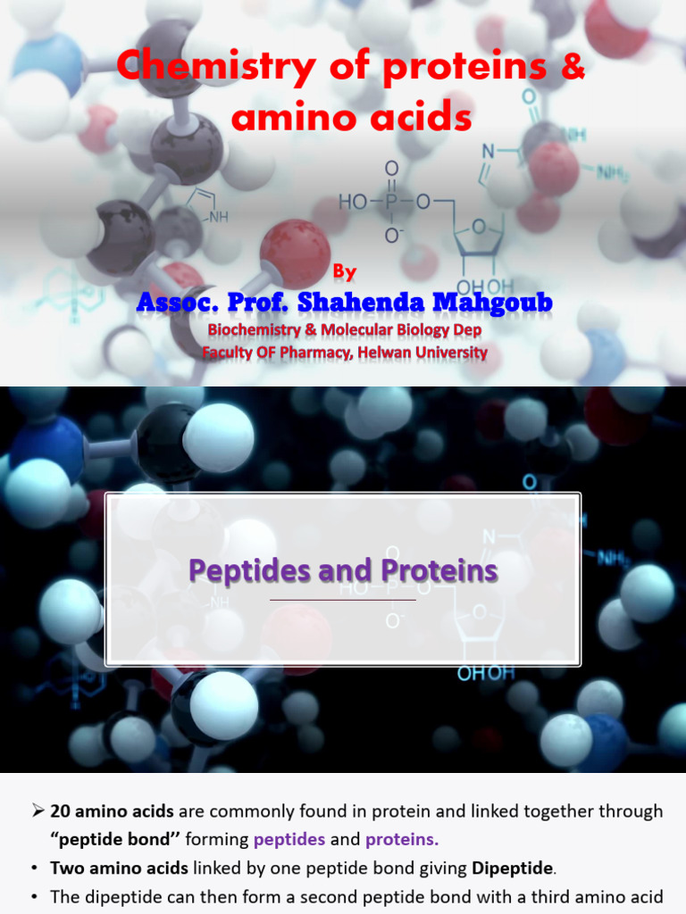 Amino Acids & Proteins Chemistry P2 | PDF | Proteins | Amino Acid