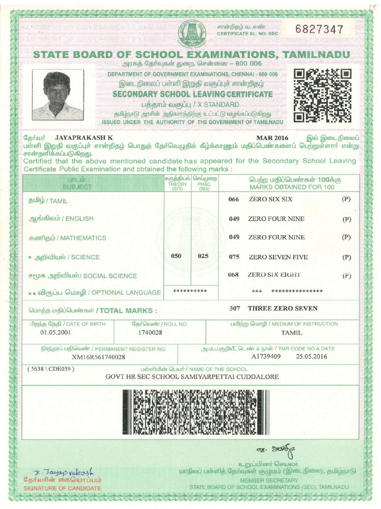 10 TH Mark Sheet | PDF