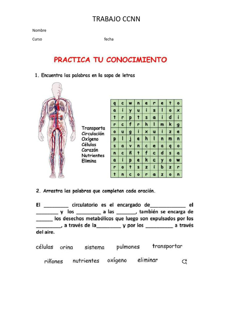2da Actividad 9N0 | PDF