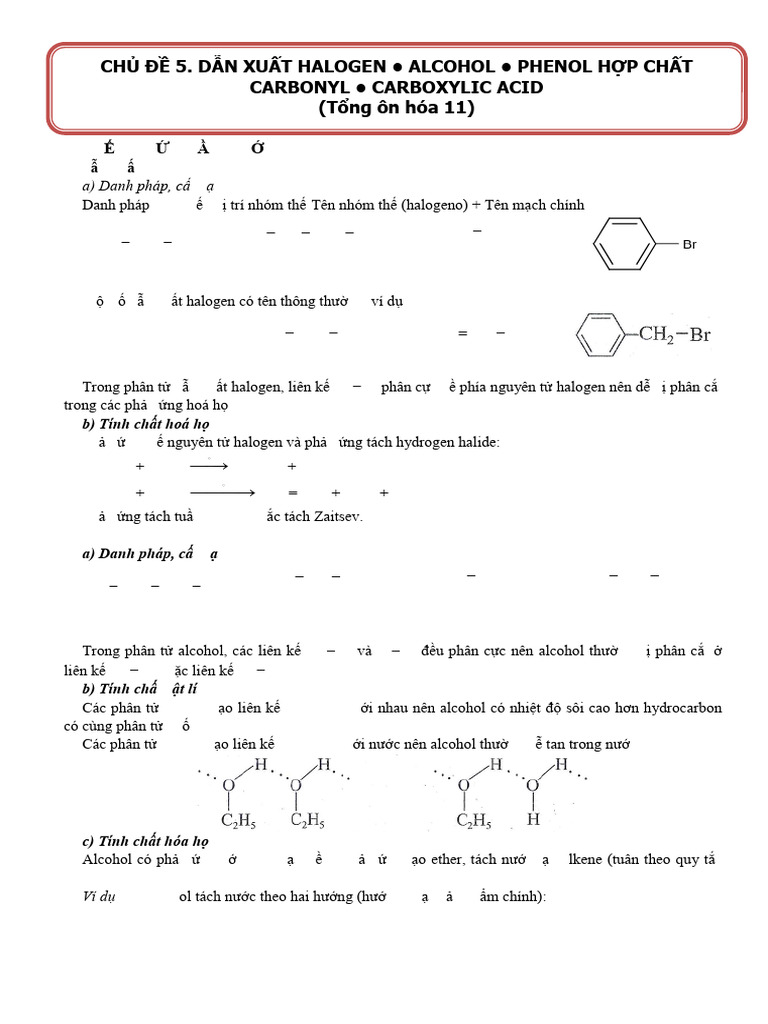 CĐ5. DẪN XUẤT HALOGEN ALCOHOL PHENOL HỢP CHẤT CARBONYL CARBOXYLIC ACID ...
