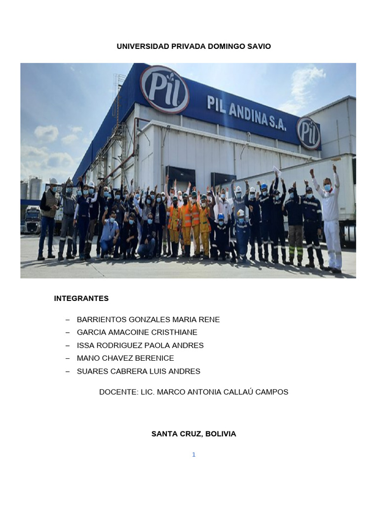 Proyecto de Optimización Organizacional en PIL Andina | PDF | Logística ...