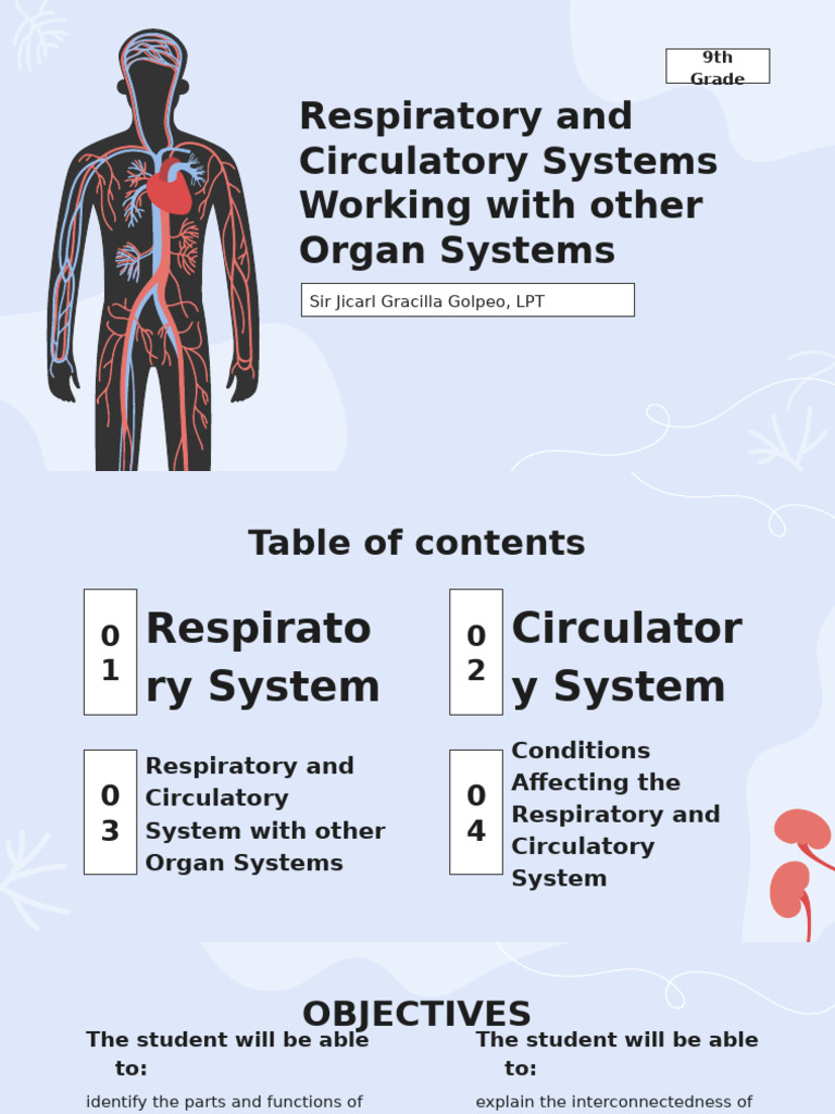 Respiratory and Circulatory Systems - 9A | PDF | Heart | Respiratory Tract