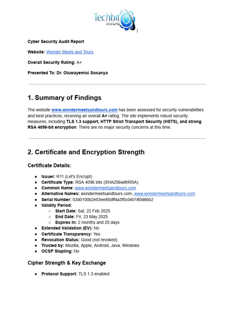 Cyber Security Audit Report | PDF | Transport Layer Security | Public ...