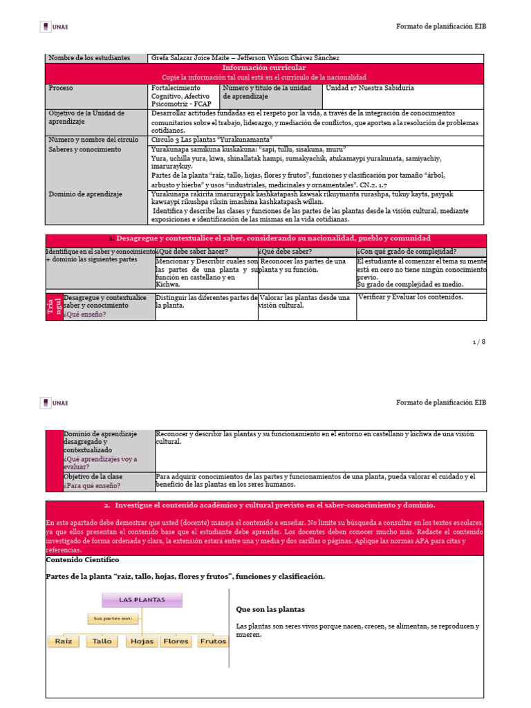 Formato Planificación Micro Curricular - EIB Catedra 1-3 Actual | PDF | Enseñando | Aprendizaje ...