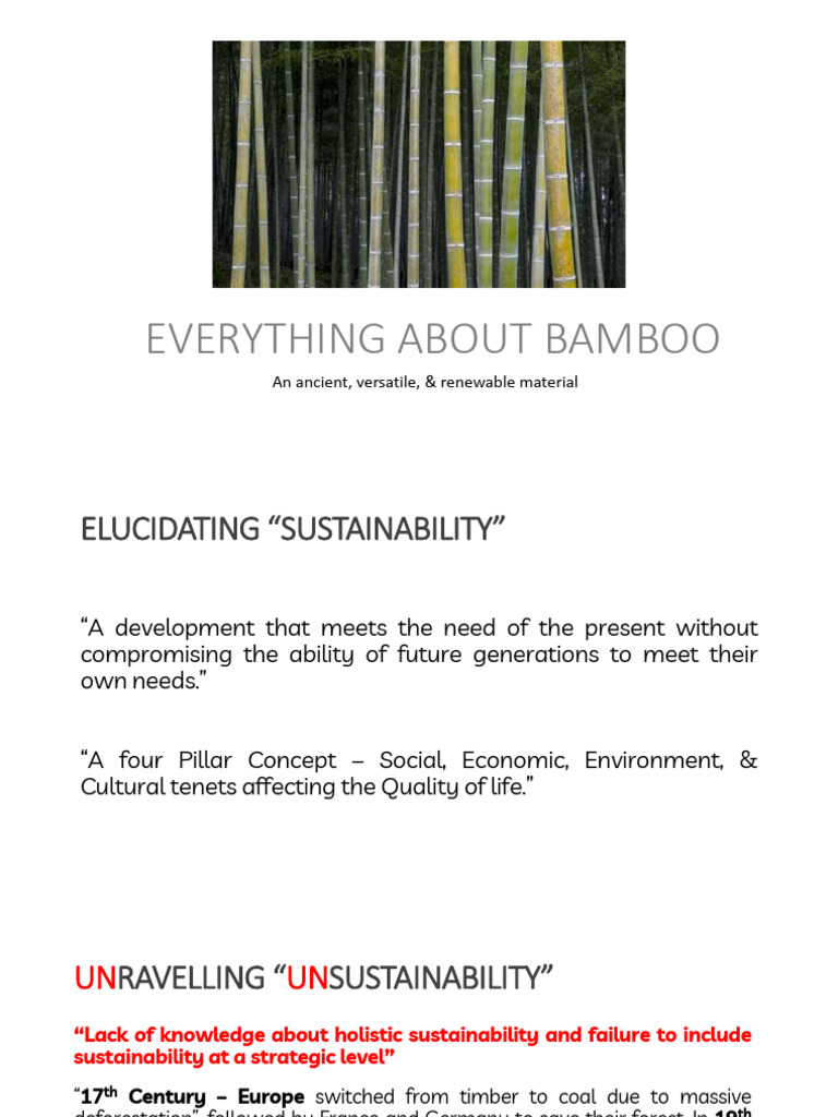 Sustainable Bamboo: A Comprehensive Guide | PDF | Sustainability | Bamboo
