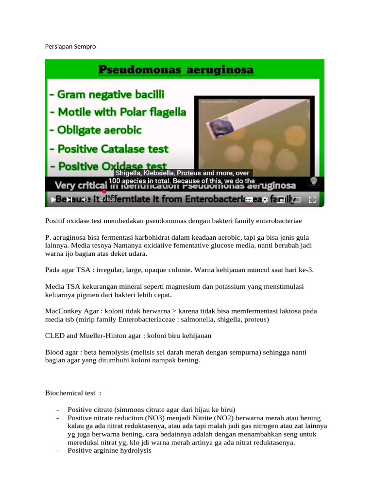 Persiapan Sempro | PDF