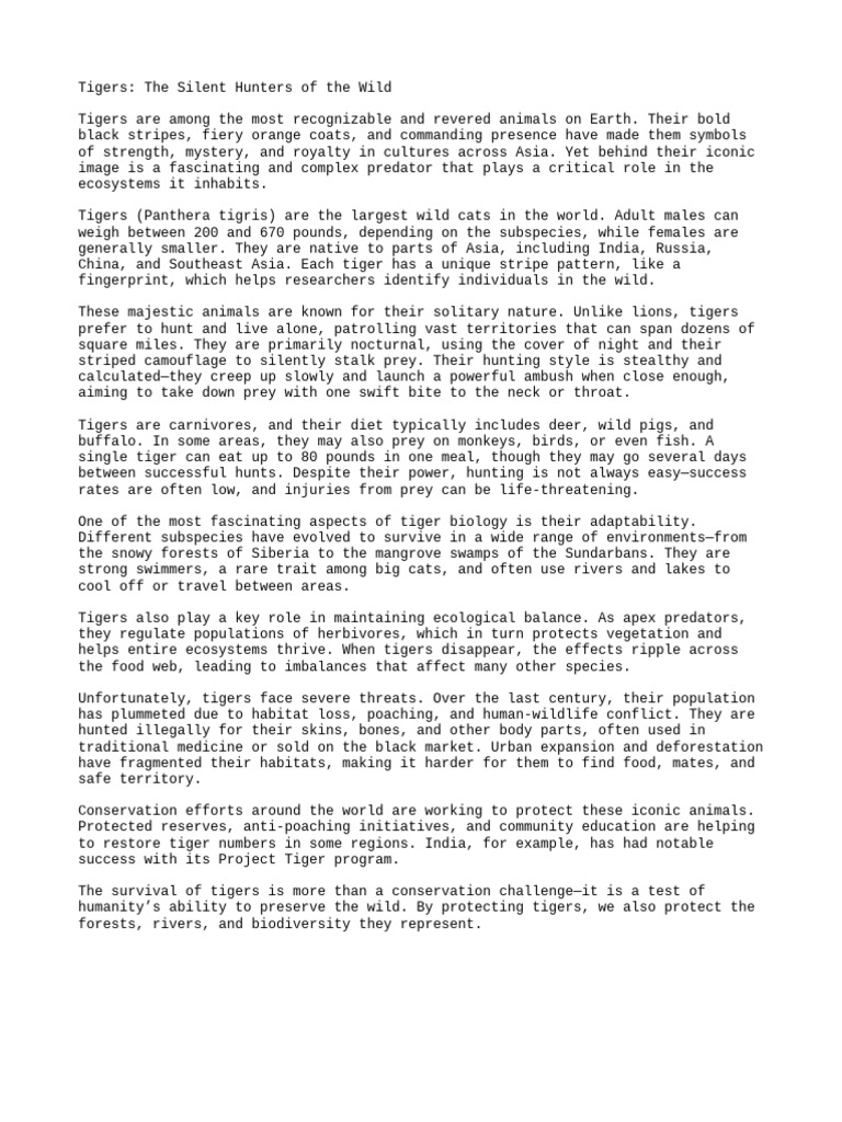 Article - Tigers - The Silent Hunters of The Wild | PDF | Tiger | Predation