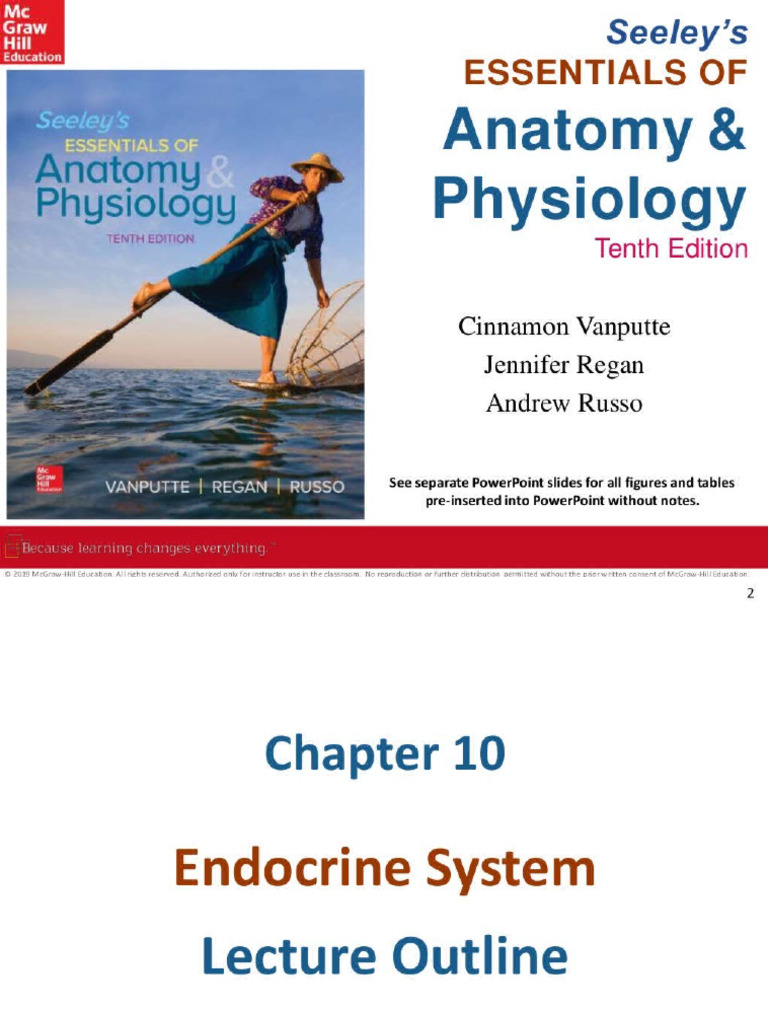Chapter 10 Endocrine System PDF | PDF