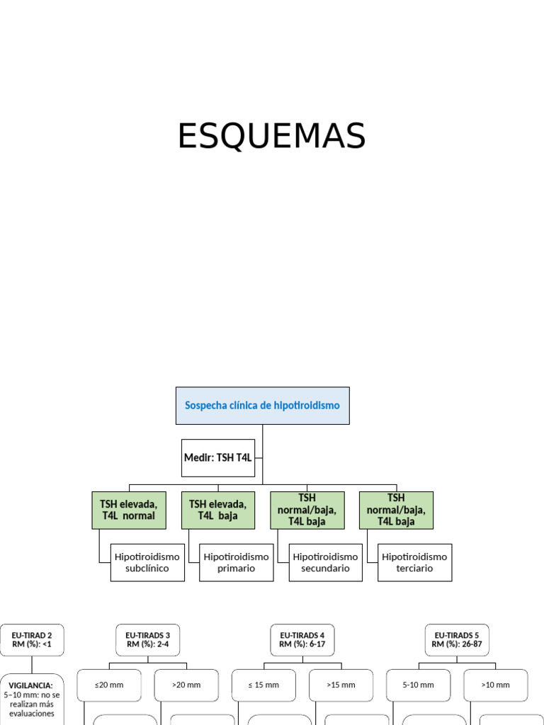 ESQUEMAS | PDF | Cáncer colonrectal | Terapia