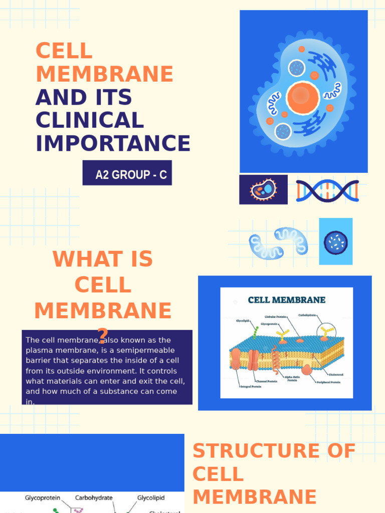 Cell Membrane and Its Clinical Importance | PDF | Cell Membrane ...