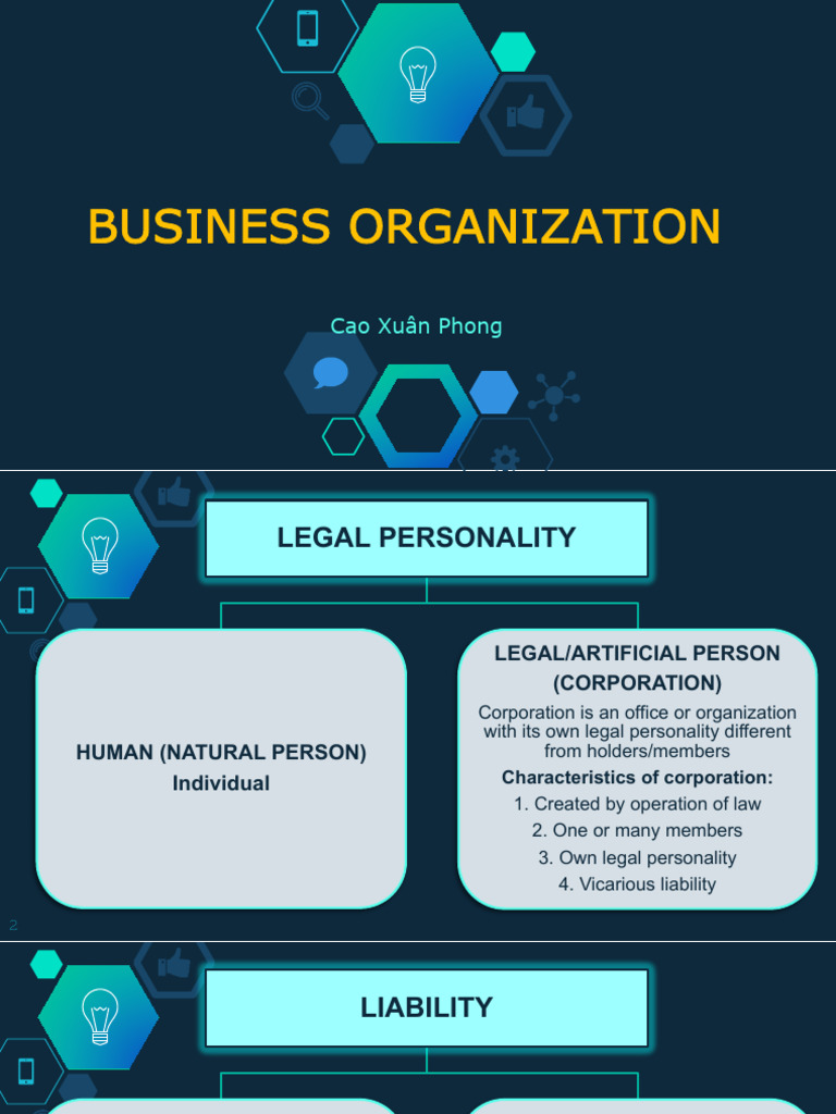 Types of Business Organizations Explained | PDF | Partnership | Limited ...