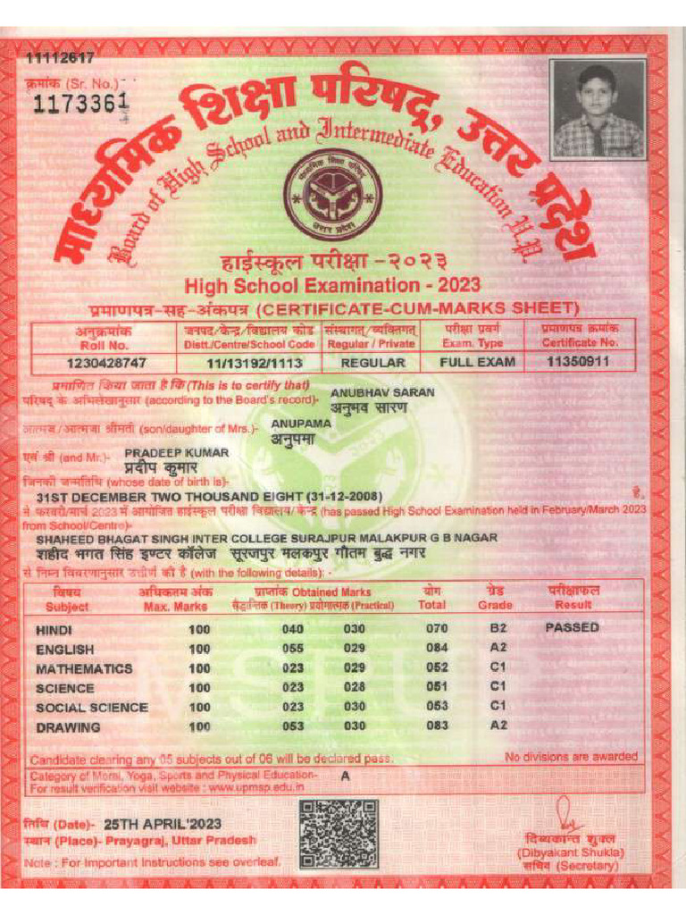 Board Certificate | PDF