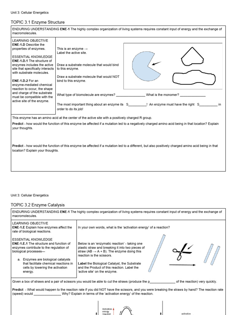 KEY AP Biology Unit 3 - Cellular Energetics | PDF | Cellular ...