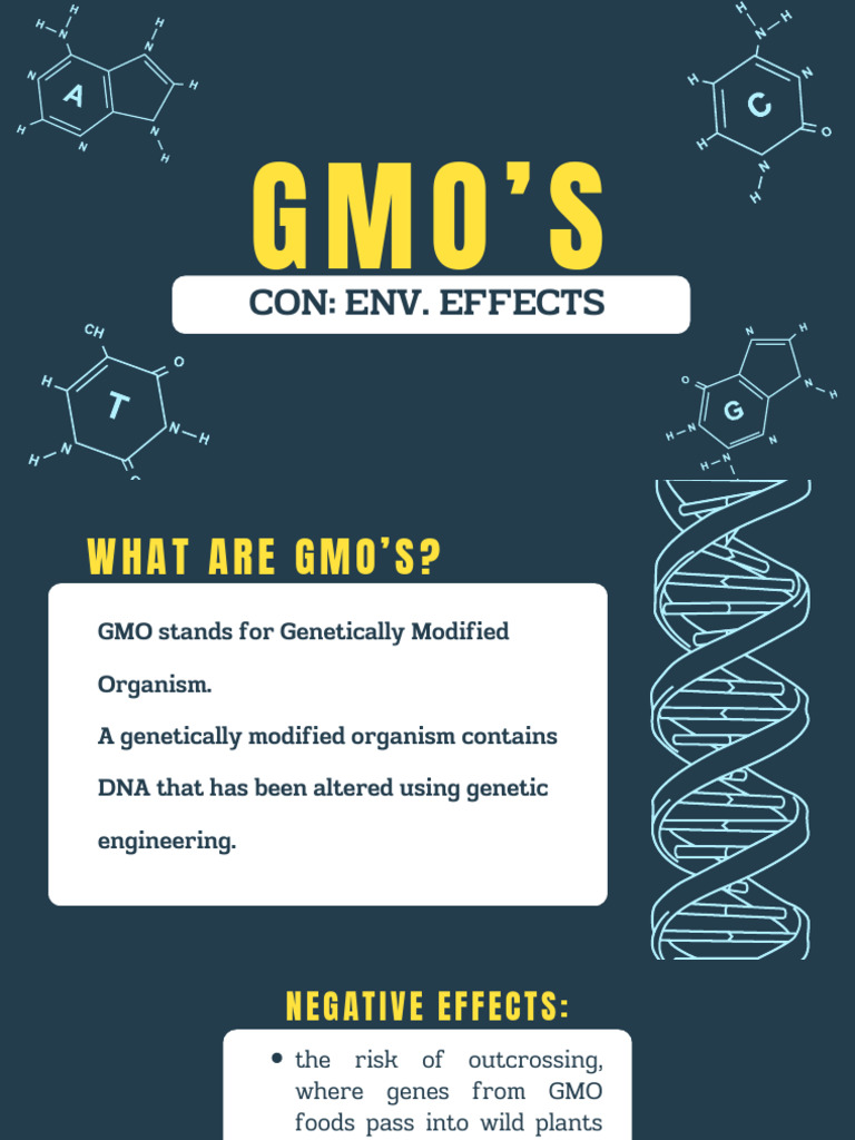Environmental Risks of GMOs | PDF