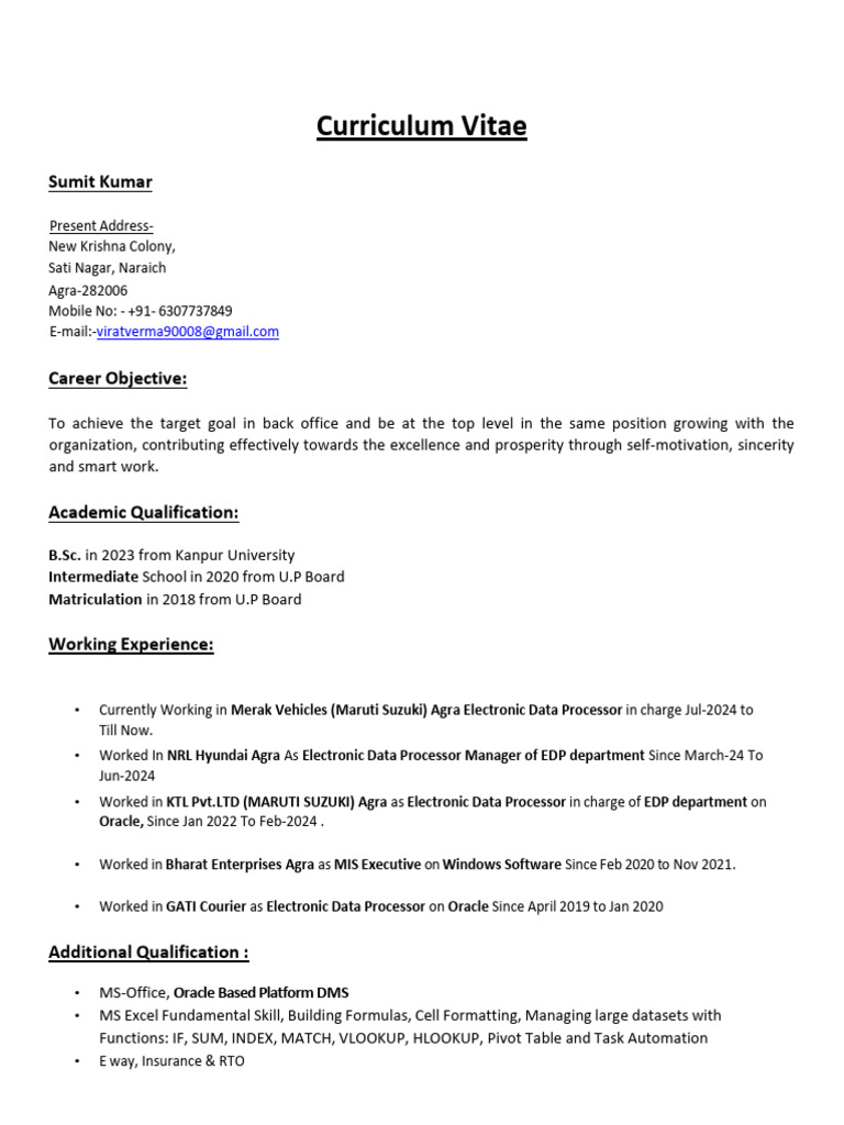 CV Sumit 2 | PDF