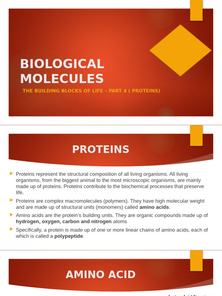 Biological Molecules Part 4 - Proteins | PDF | Alpha Helix | Proteins